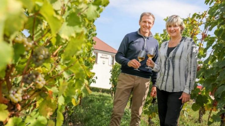 Sylvaner Domaine Edmond RENTZ - MyBretzelBox